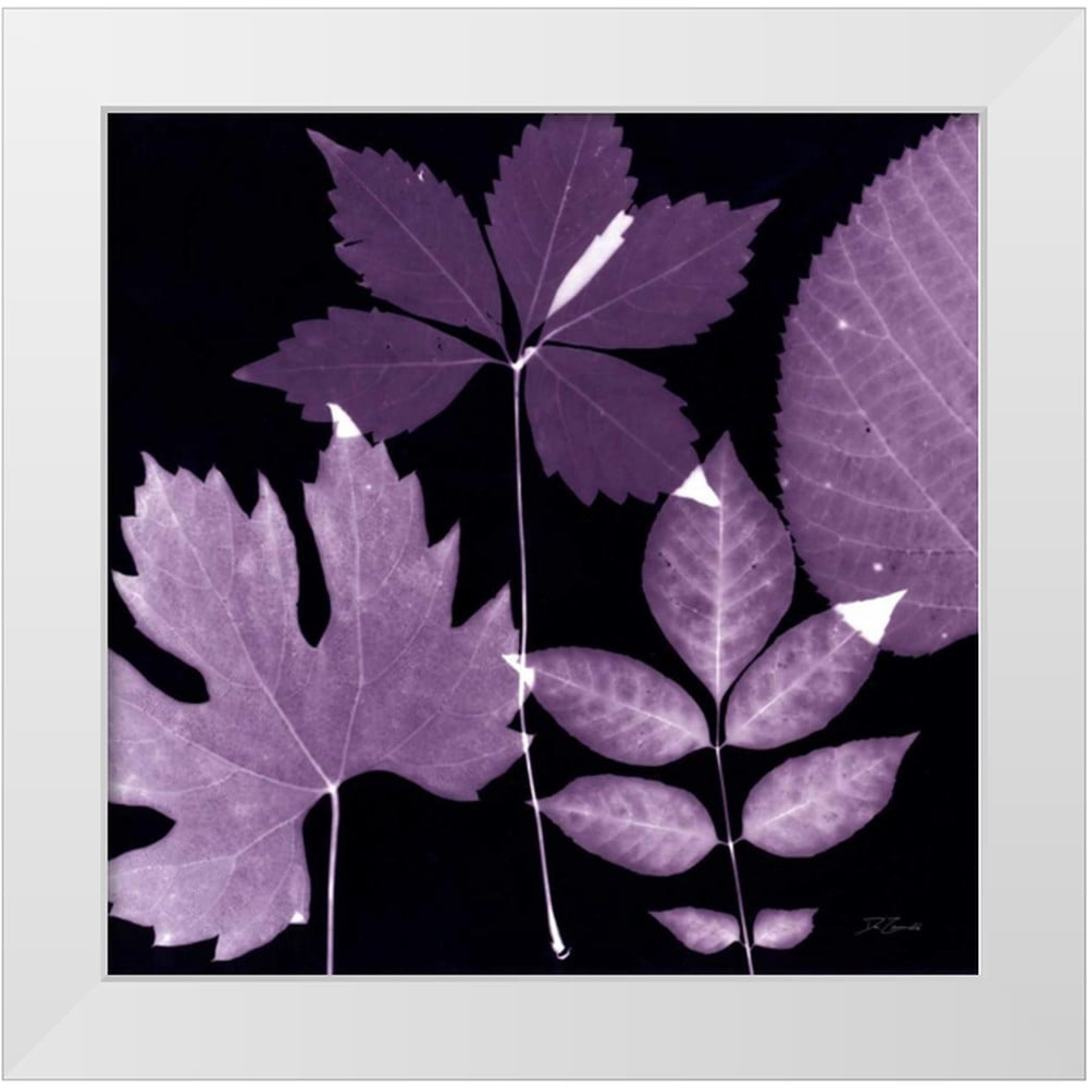 Zamudio, Dan 26x26 White Modern Wood Framed Museum Art Print Titled ...