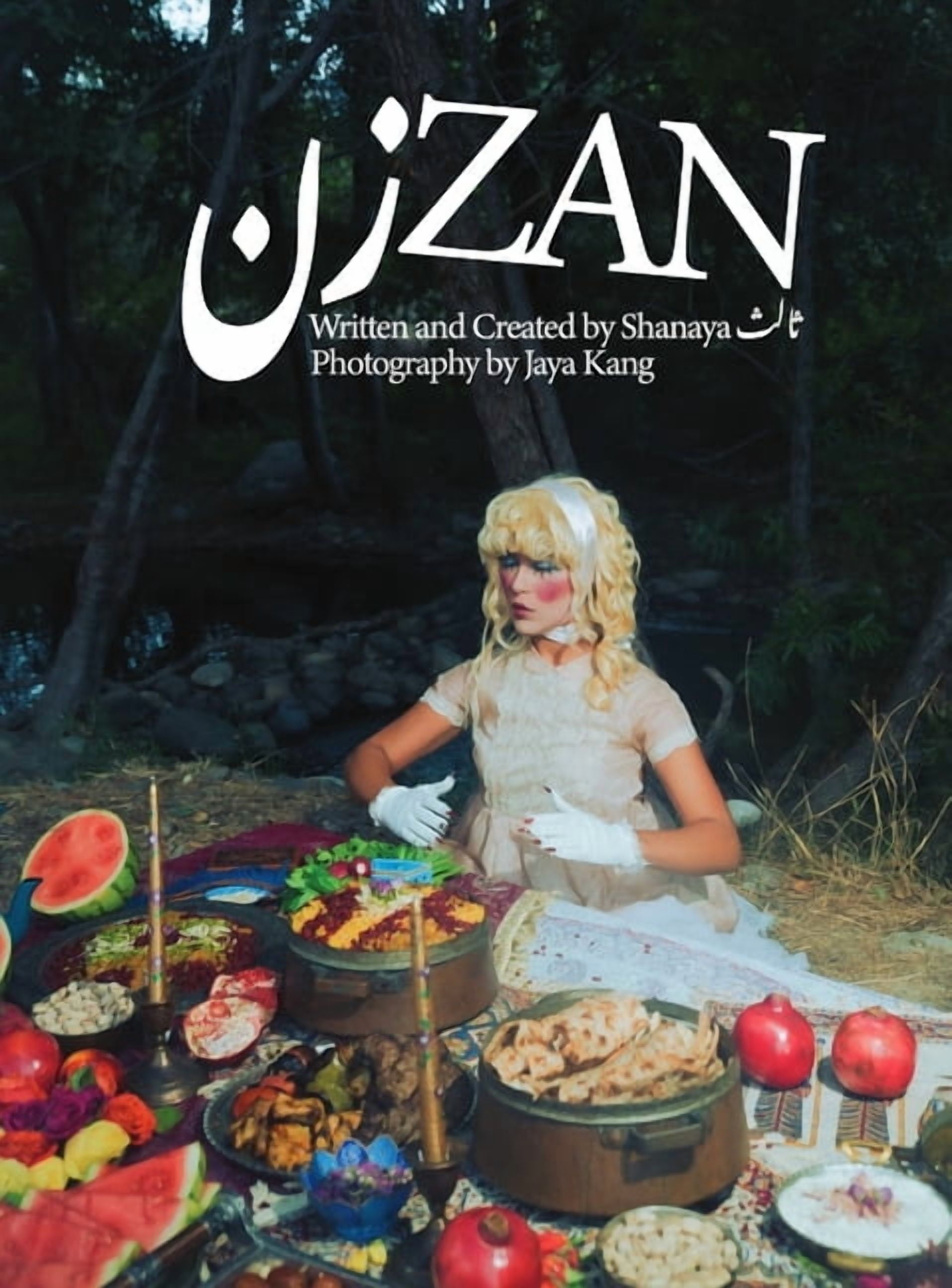 Zan: Where Does Shame Hide in the Belly of the Beast, (Hardcover) - Walmart.com