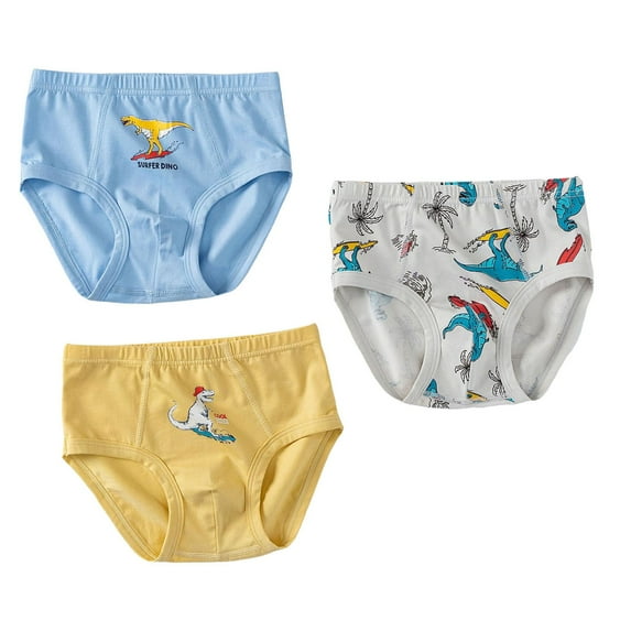 Zanarzt Boys Potty Training Underwear Toddler Underpants Boy Briefs ...