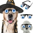 Zany Trains Party Prankster Spectacles Hilarious Pet Friendly Goggles ...