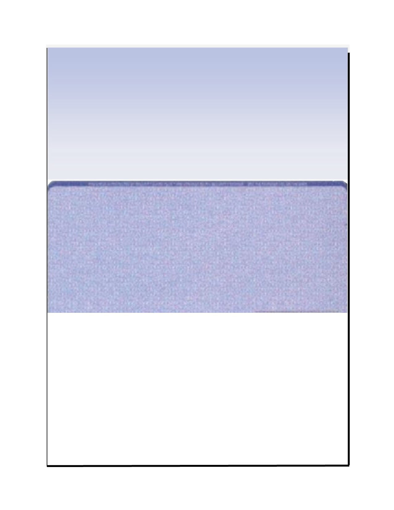 Zapco High-Security Check Paper, Blue w Complex Background Pattern, 8-1 ...