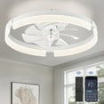 Zardon 20" Flush Mount Ceiling Fan with Light–6-Speed Remote, 3CCT ...