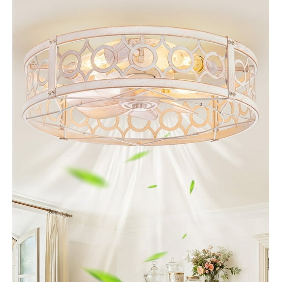 Zardon Ceiling Fans, 20" Caged Ceiling Fans with Light and Remote ...