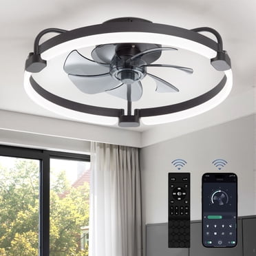 LISUNAR 20" Ceiling Fans with Lights and Remote,Gold-Smart Dimmable low ...