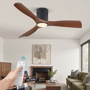 Zardon 20" Modern Ceiling Fan with LED Light and Remote, App Control ...