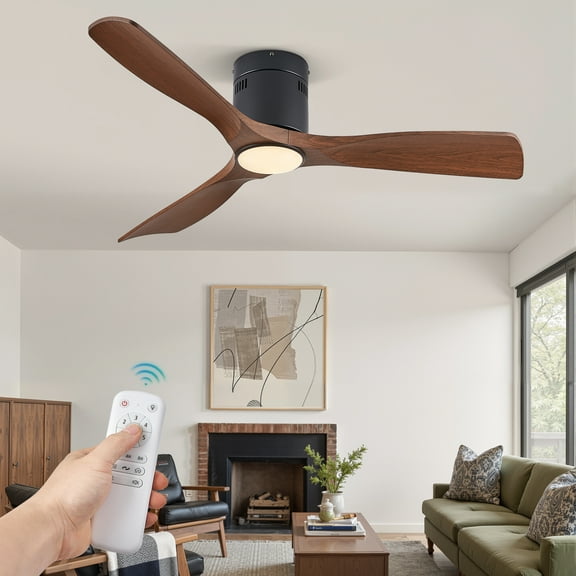 Zardon 58in Ceiling Fan with Light, Remote Control, Indoor/Outdoor ...