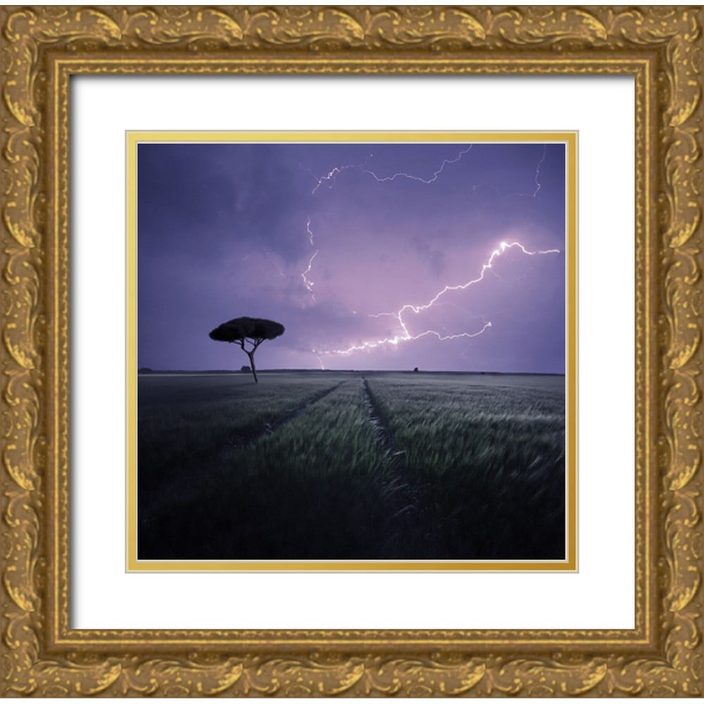 Zarys, Mindaugas 15x15 Gold Ornate Wood Framed with Double Matting ...