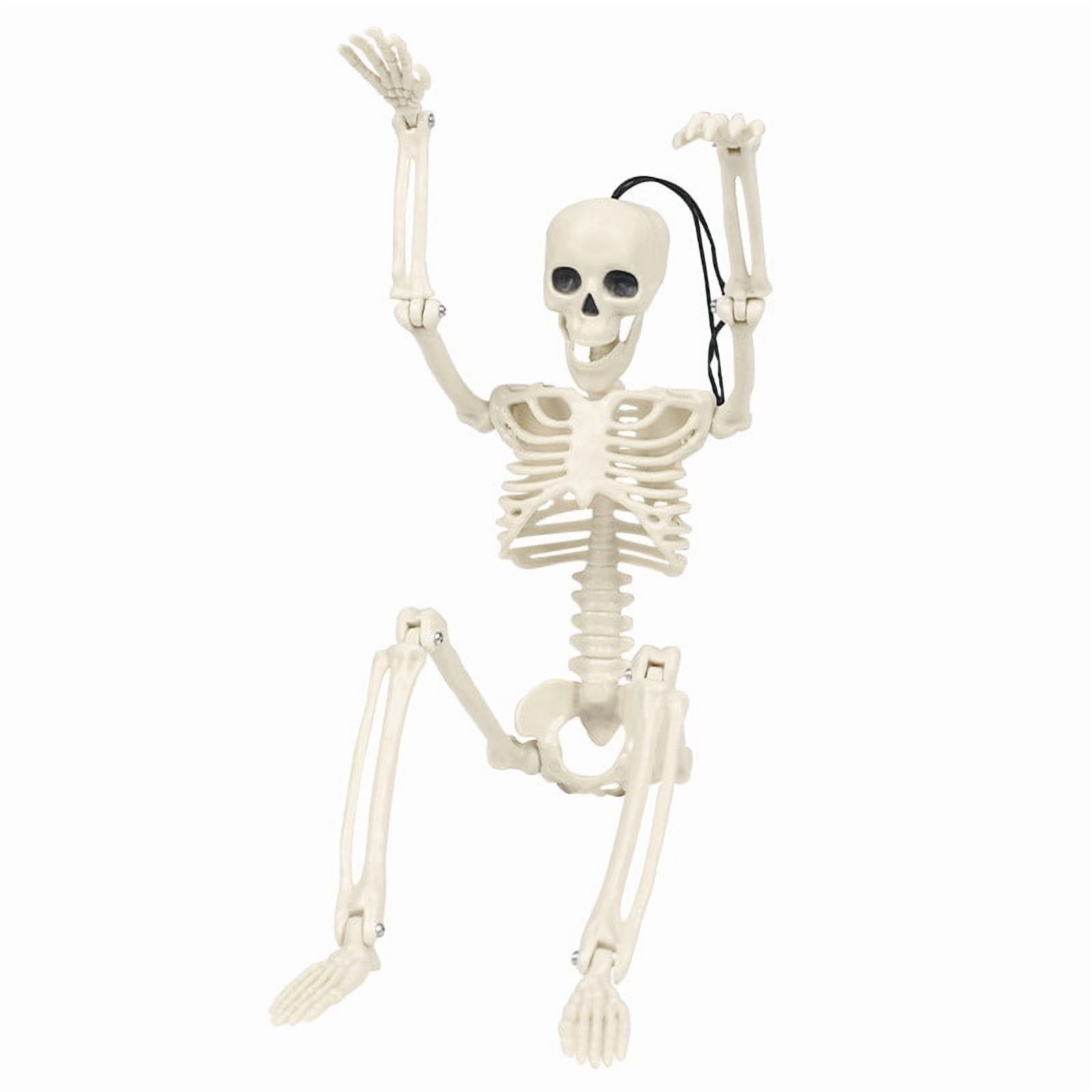 Zatoumnr 35.4in Poseable Skeleton with Movable Joints, Full Body ...