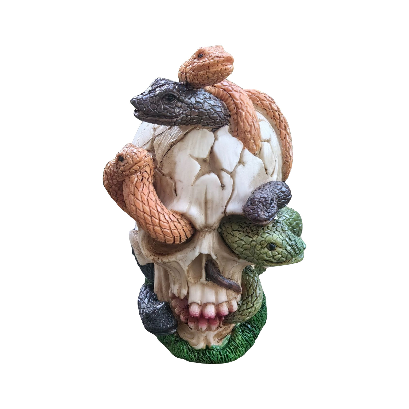 Zawou Halloween Skeletons Resin Realistic Fake Simulation Human Skull ...