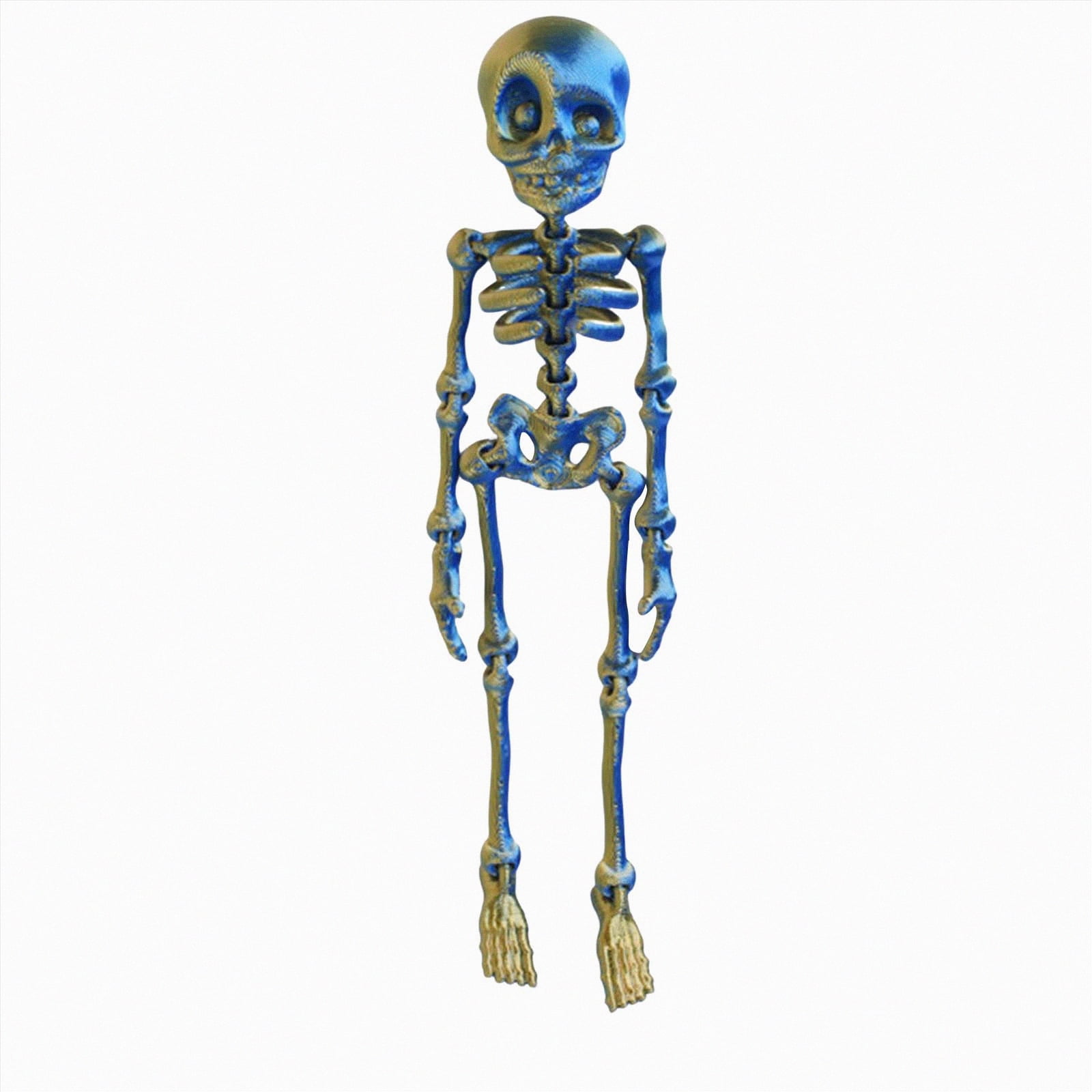 Zawus Poseable Skeleton Fridge , 3D Printed Articulated Skeleton with ...