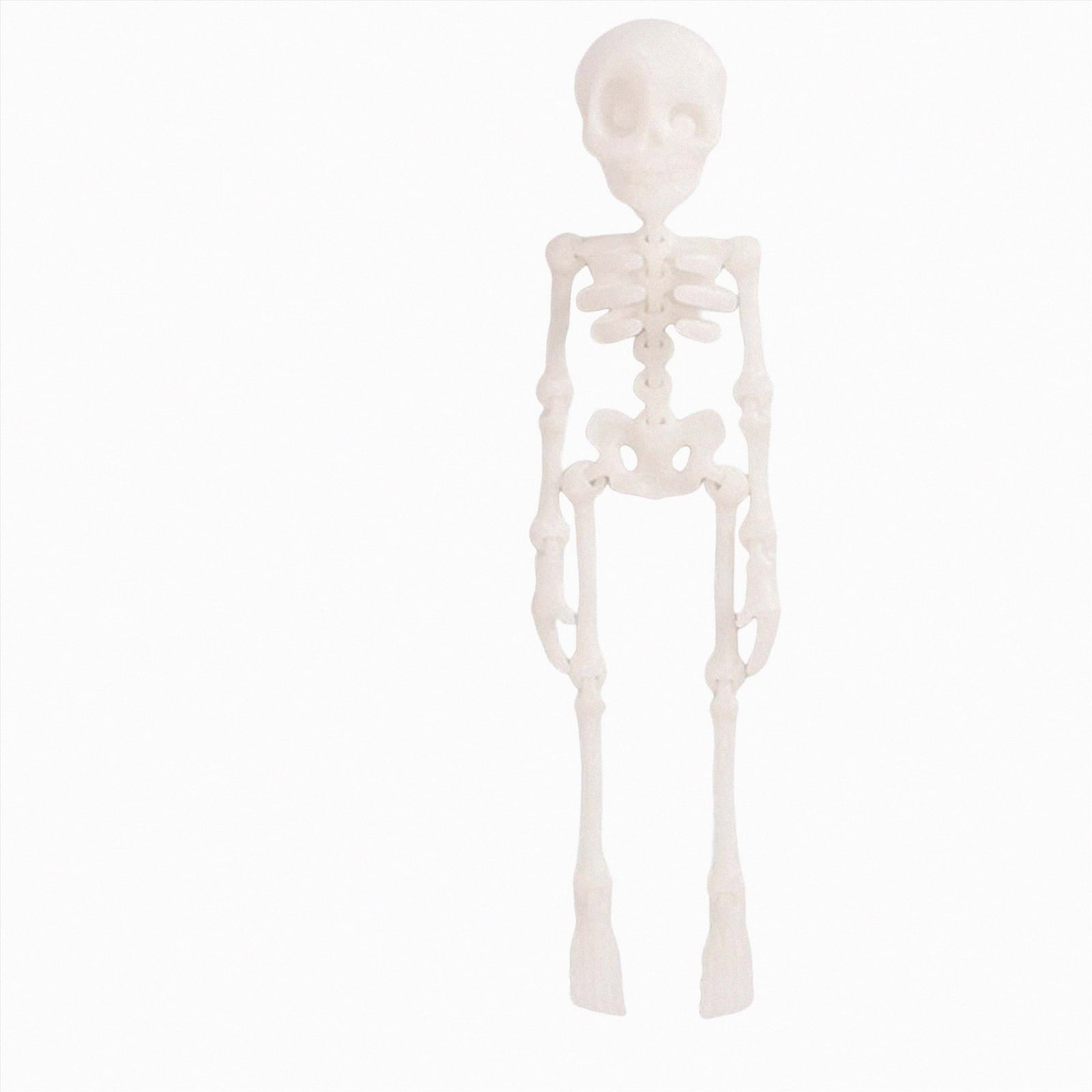 Zawus Poseable Skeleton Fridge , 3D Printed Articulated Skeleton with ...