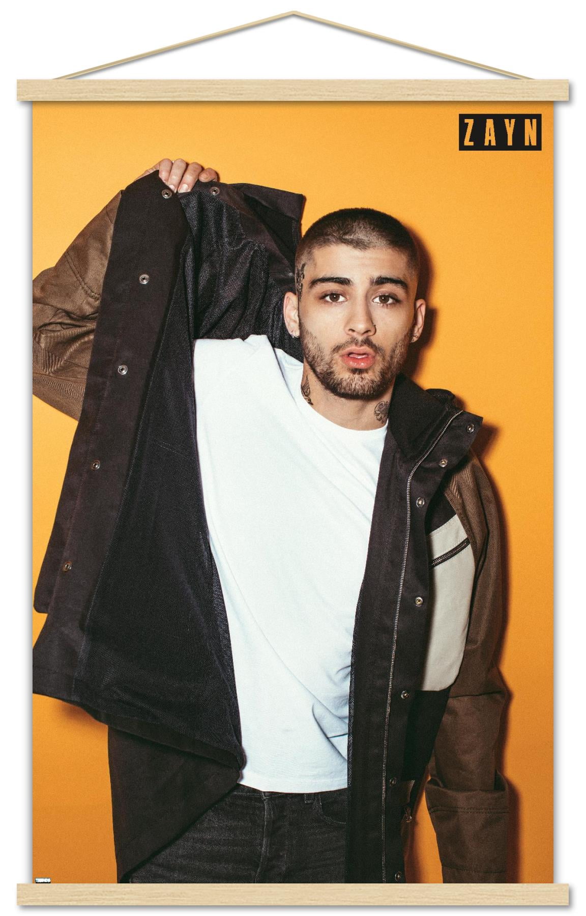Zayn - Portrait Wall Poster with Wooden Magnetic Frame, 22.375" x 34 ...