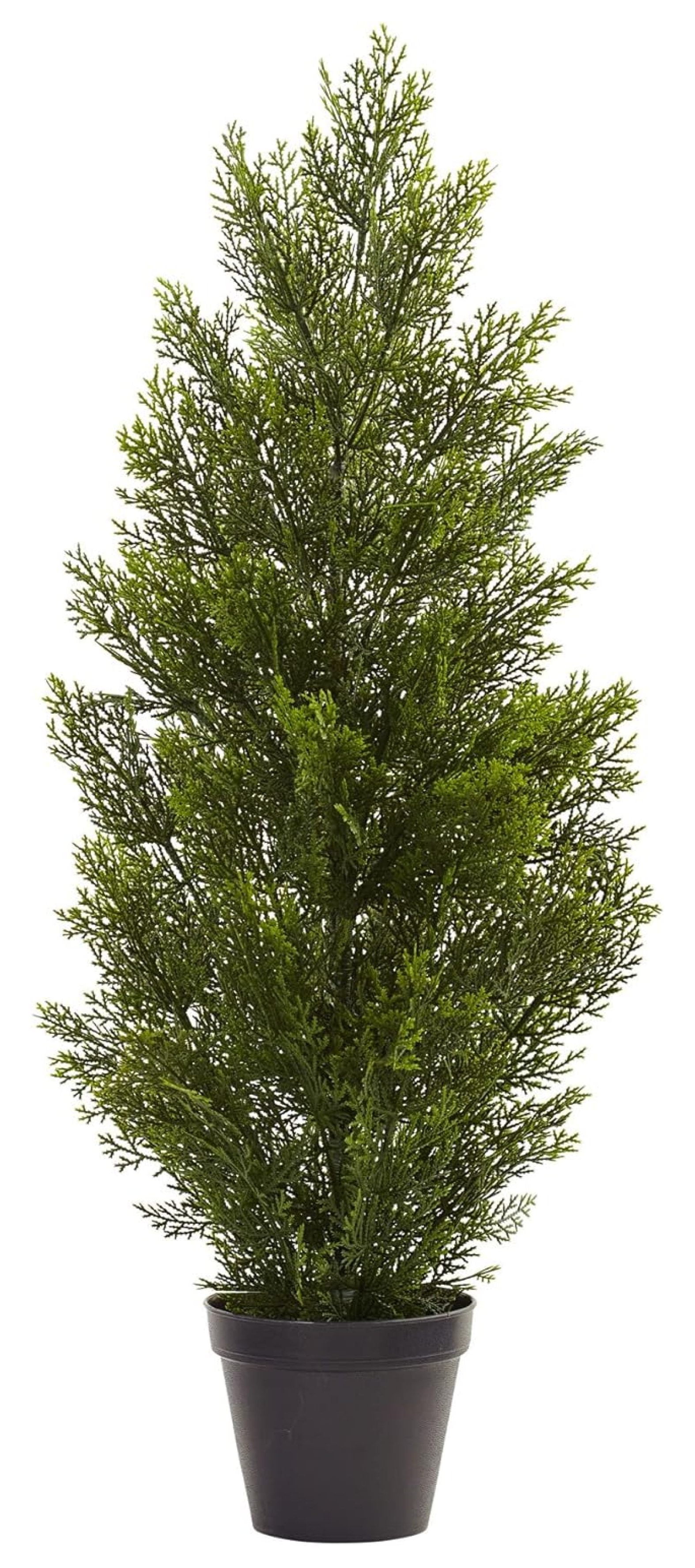 Zazesaby 3ft. Mini Cedar Pine Tree (Indoor/Outdoor) - Walmart.com