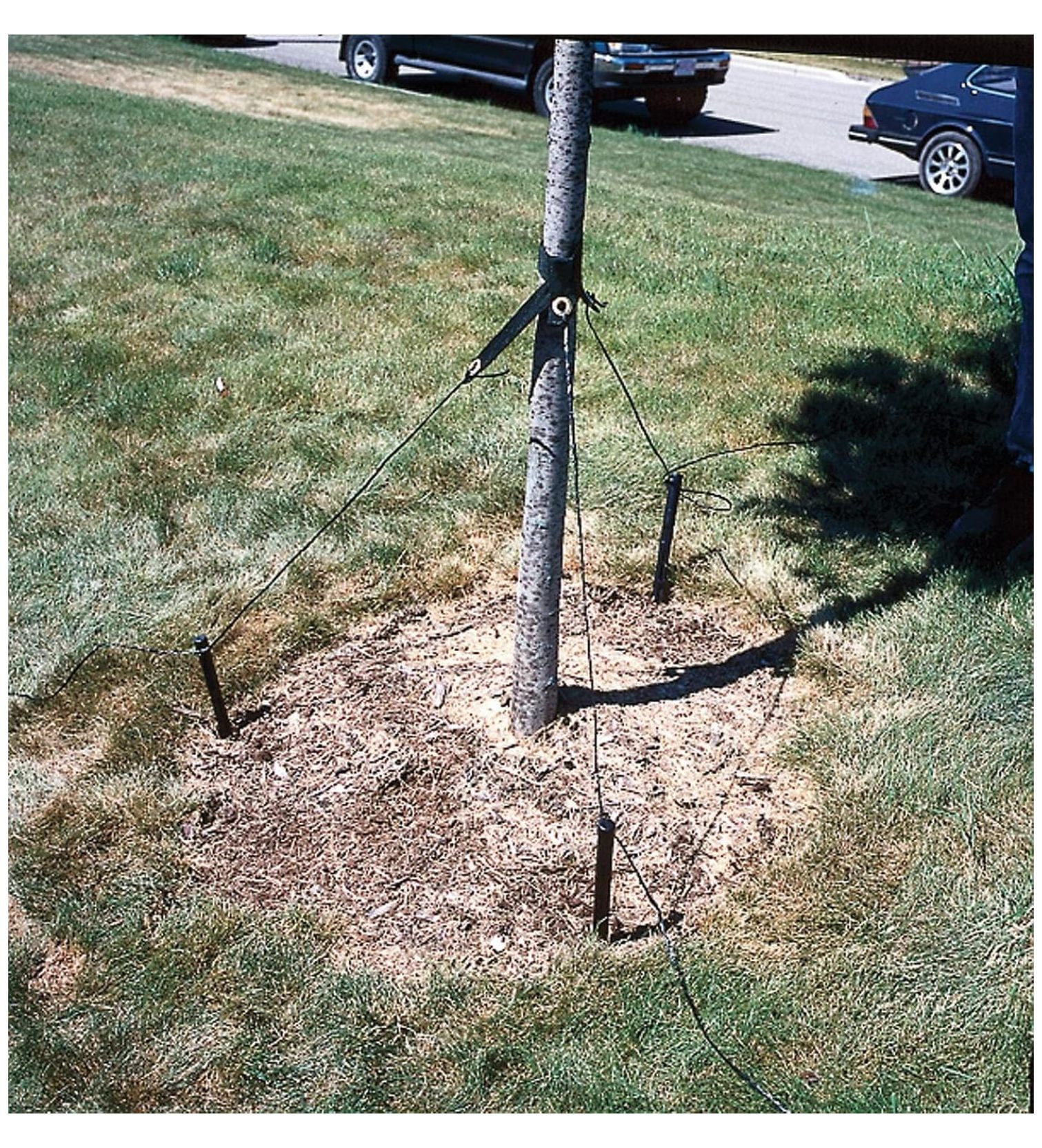 Zazesaby Crack Stix 2061 Concrete Joint & Crack Fill, 1/4 D, 225ft ...