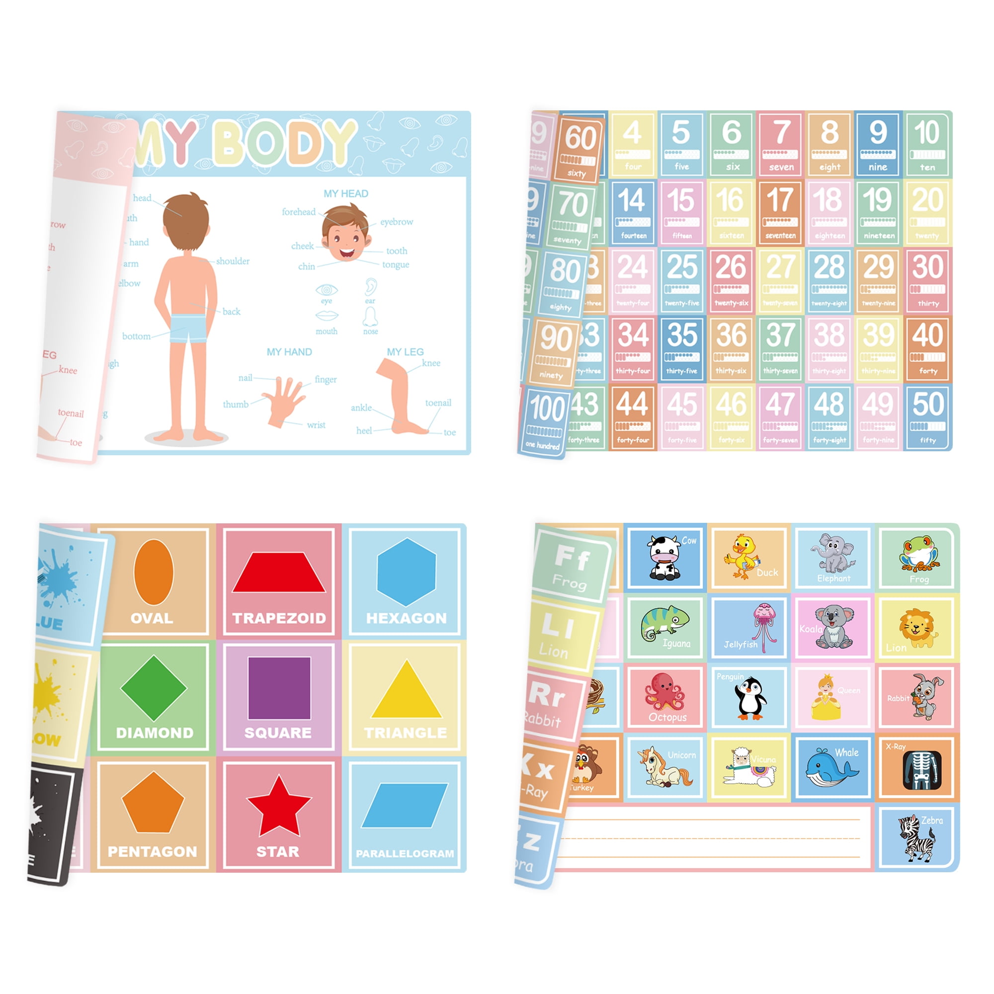ZazzyKid Learning Posters for Kids - Set of 4, 2 Sides Printing of Letters + Numbers + Human ...