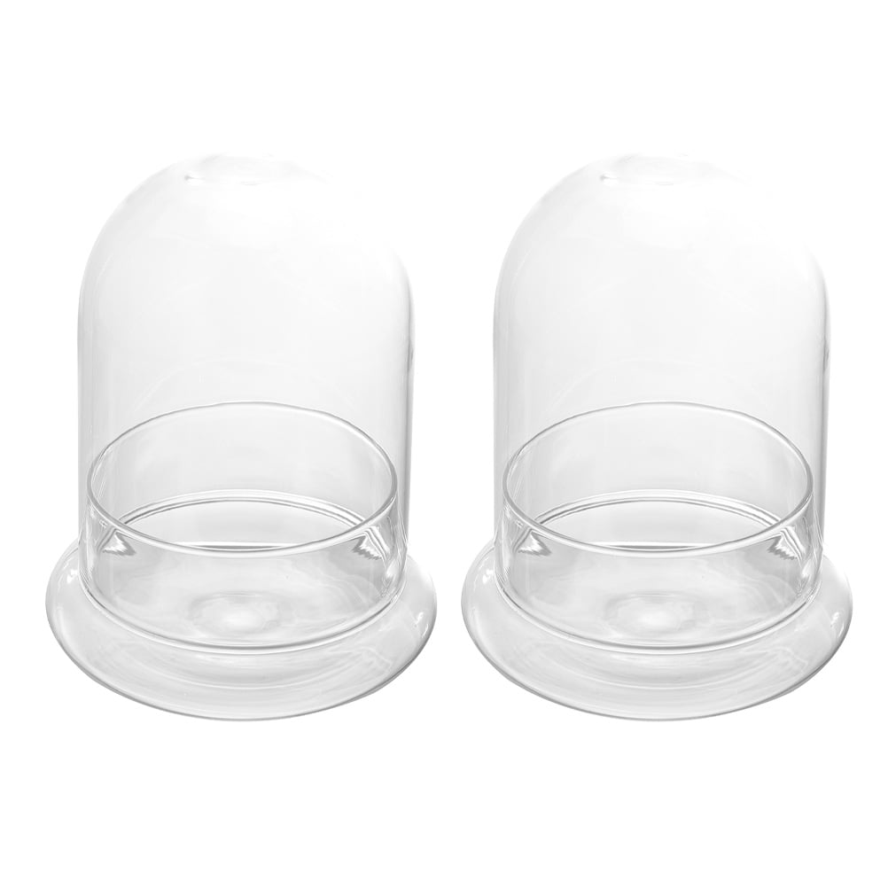 Zcyifa 2 Pcs Glass Dome Terrarium Cover for Plants & Desserts - Walmart.com