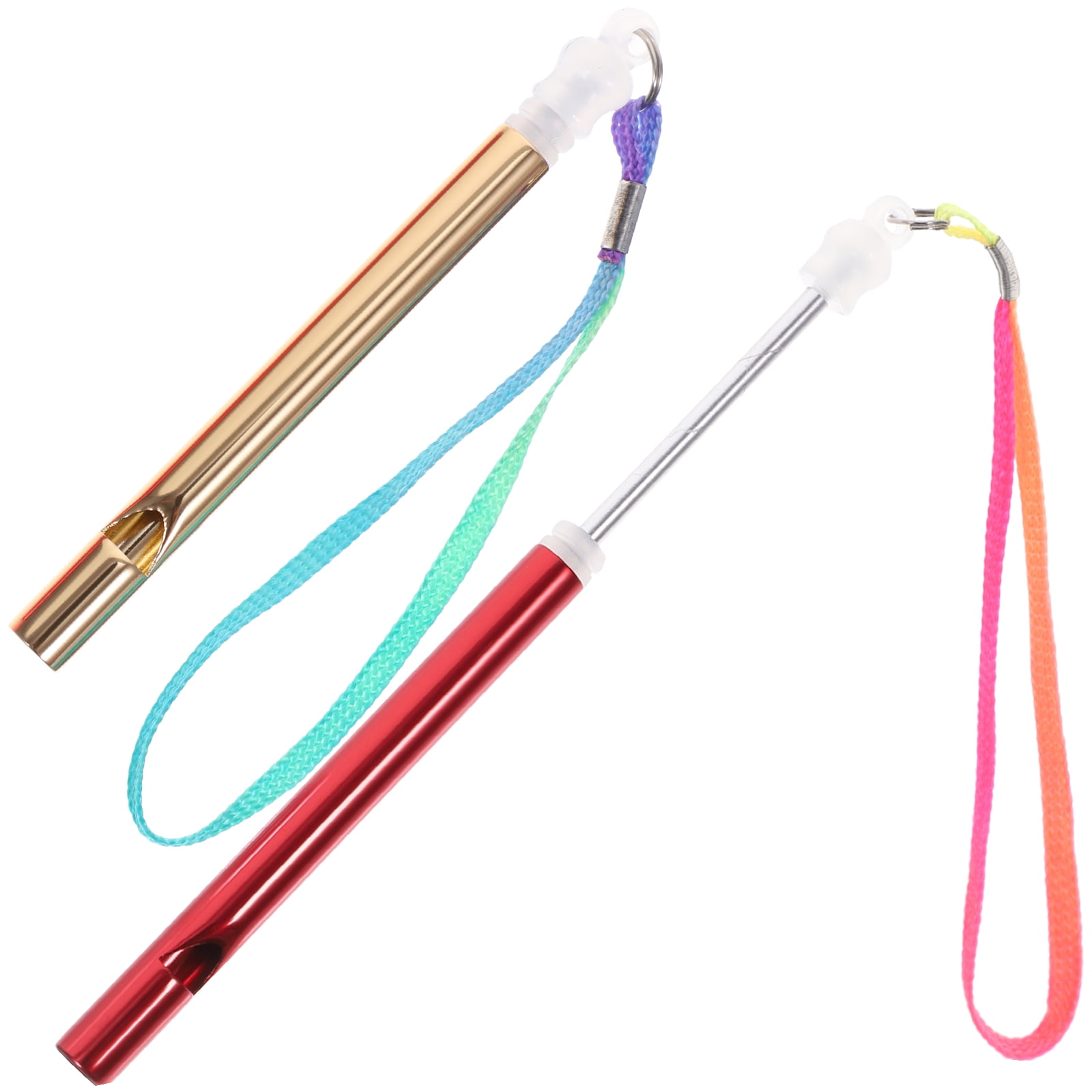 Zcyifa Slide Whistle Musical Instrument for Kids: Speech & Muscle ...