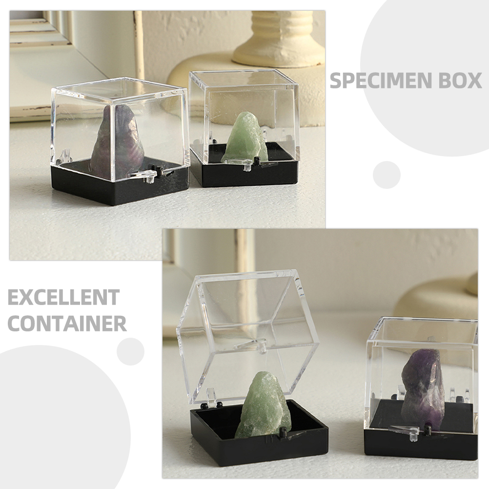 Zcyifa Specimen Case 3pcs Clear Specimen Display Boxes Specimen ...