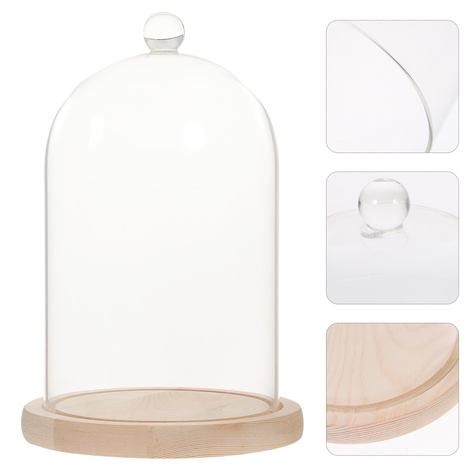 Zcyifa glass display cover Dried Flower Display Glass Cover DIY ...