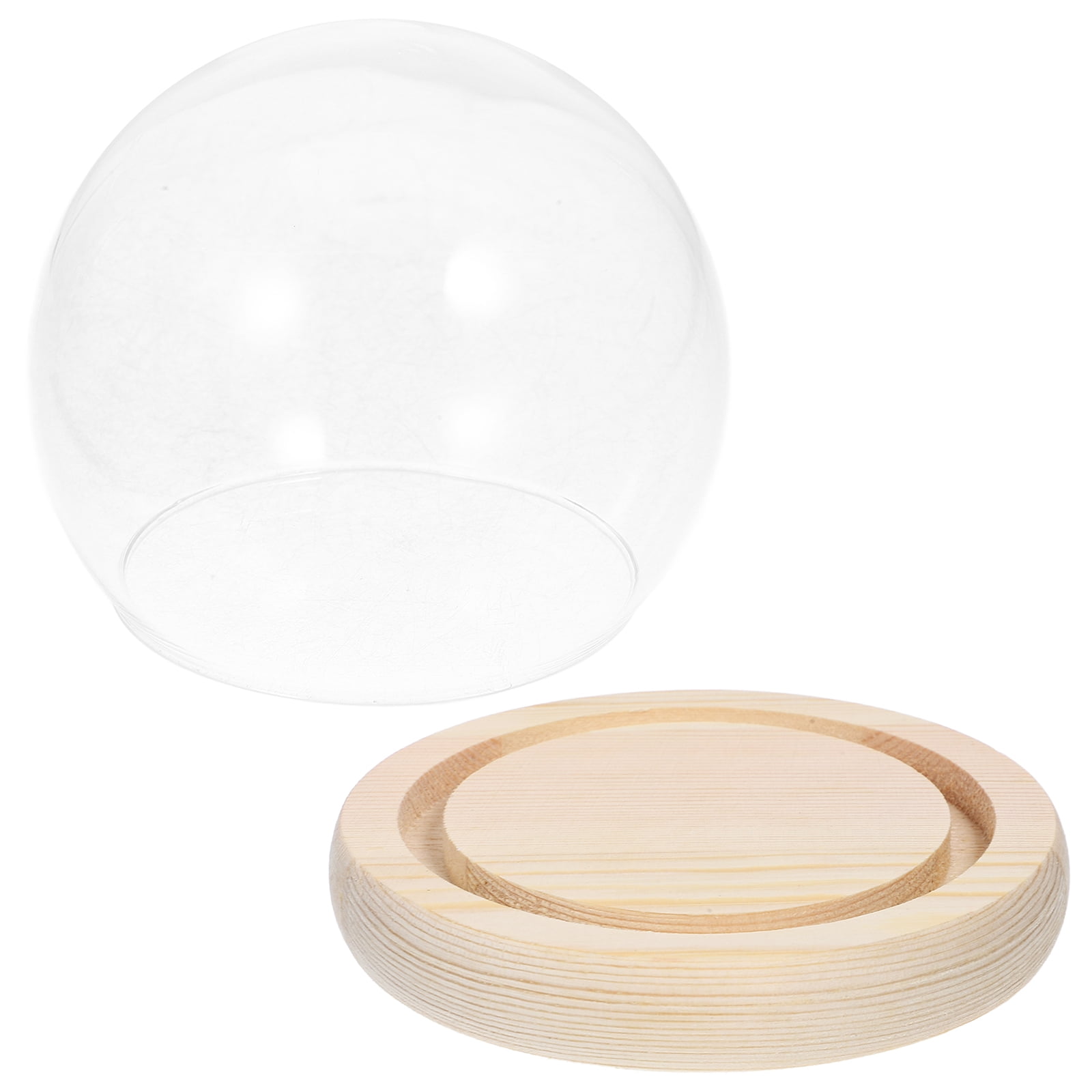 Zcyifa glass domes for crafts Clear Glass Display Case with Wooden Base ...