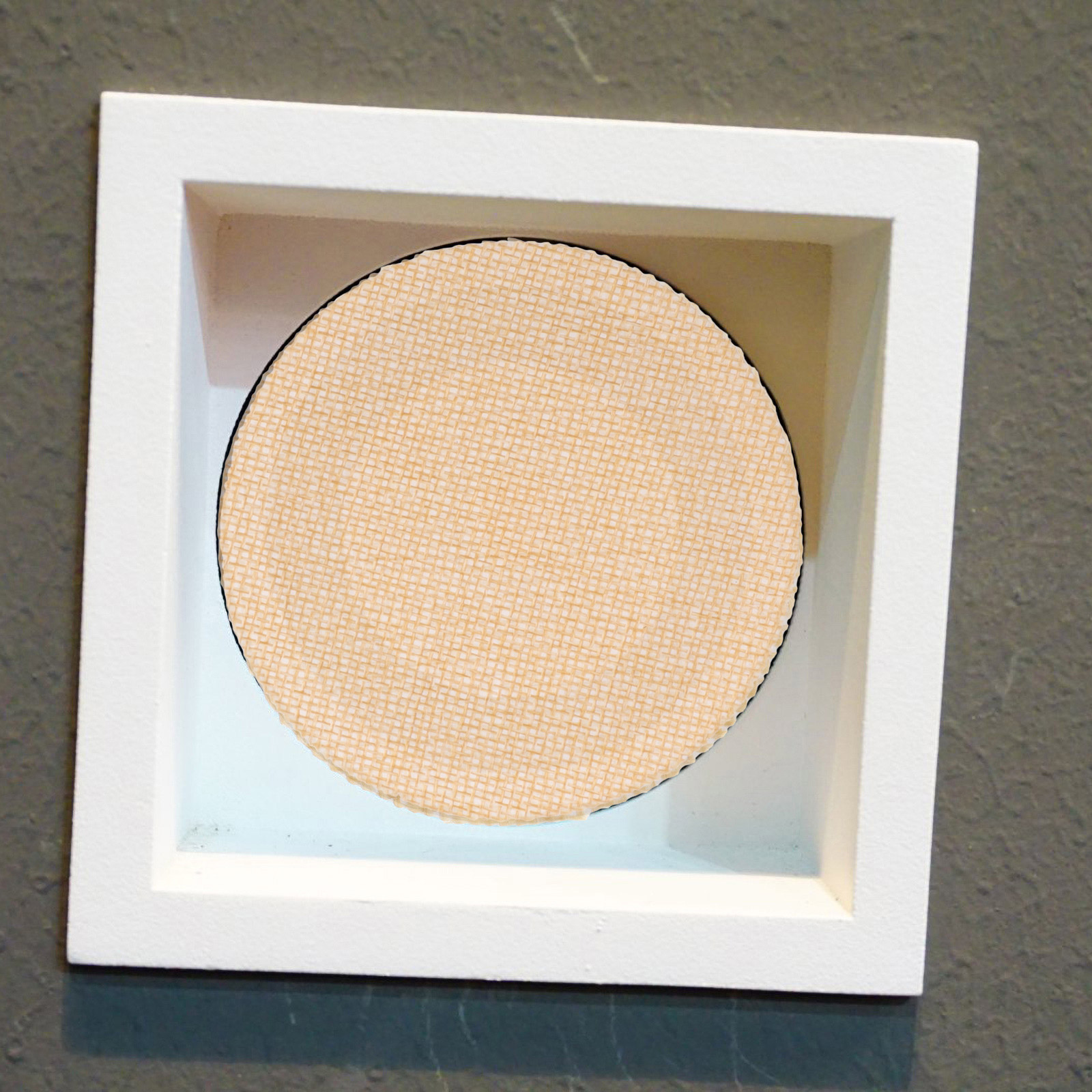 Zcyifa lamp shade diffuser 2PCS Lampshade Diffuser Fabric Lamp Shade ...