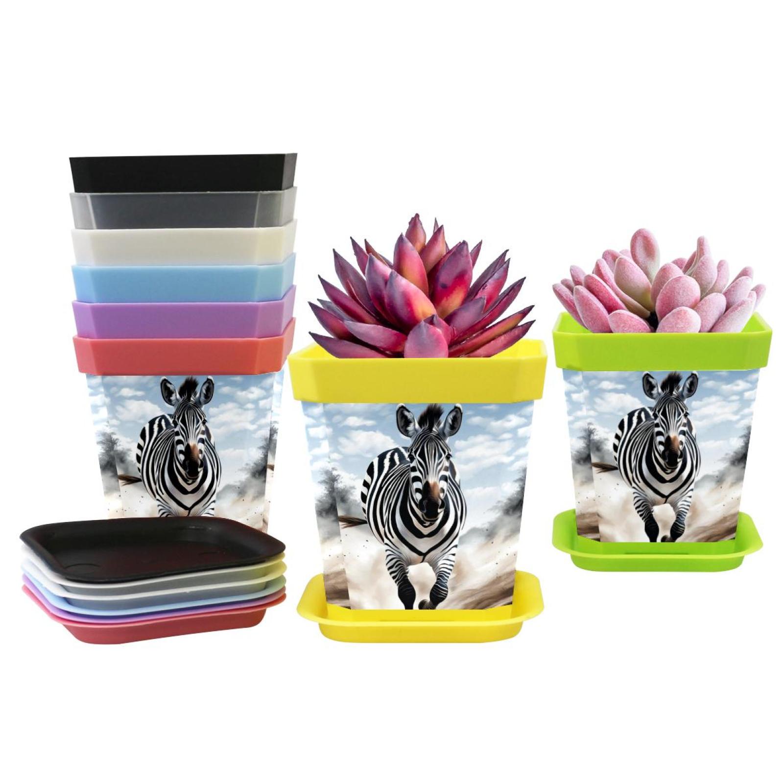 Zebra Animals Caribbean Planter 8PCS - Lightweight Indoor Outdoor 8 ...