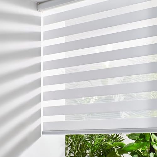 Zebra Blinds for Windows, Cordless Roller Shades for Windows Room ...