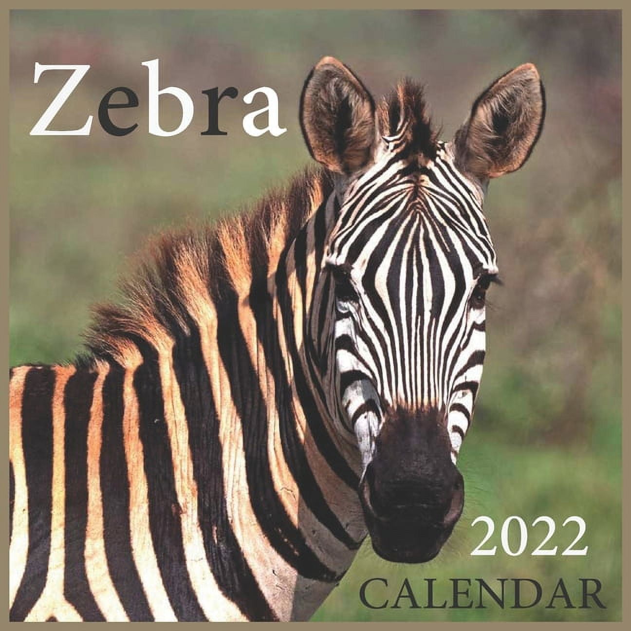 Zebra CALENDAR 2022 : Official Zebra Calendar 2022, safari Calendar ...