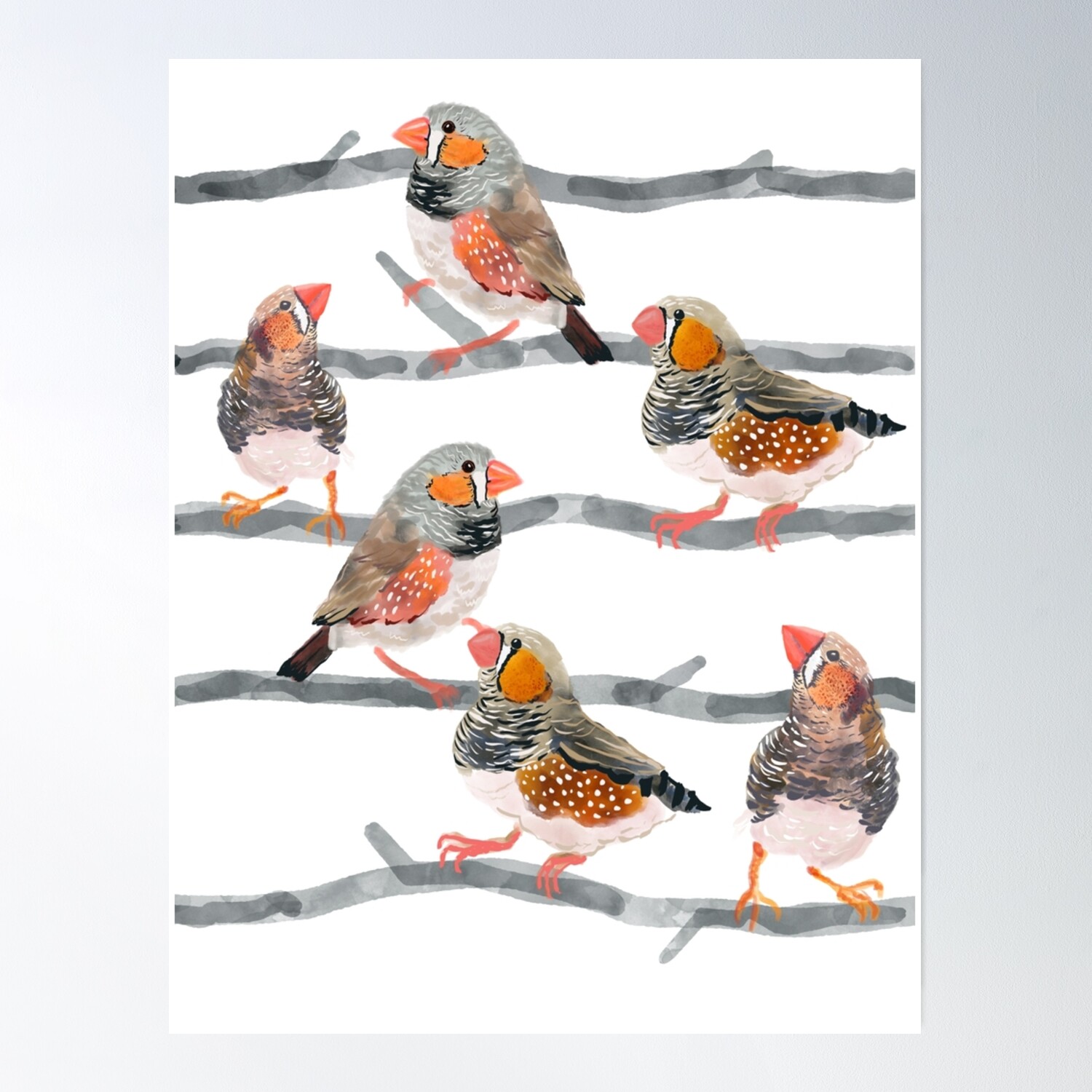 Zebra Finch Flock Poster Wall Art, Modern Wall Decor, 16x24 UNFRAMED ...