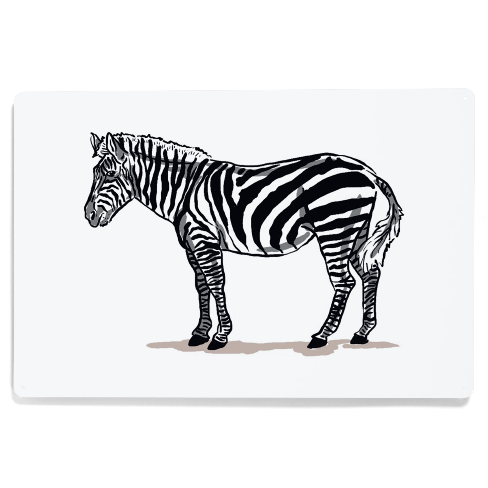 Zebra, Icon (12x18 Aluminum Art, Indoor Outdoor Metal Sign Decor ...