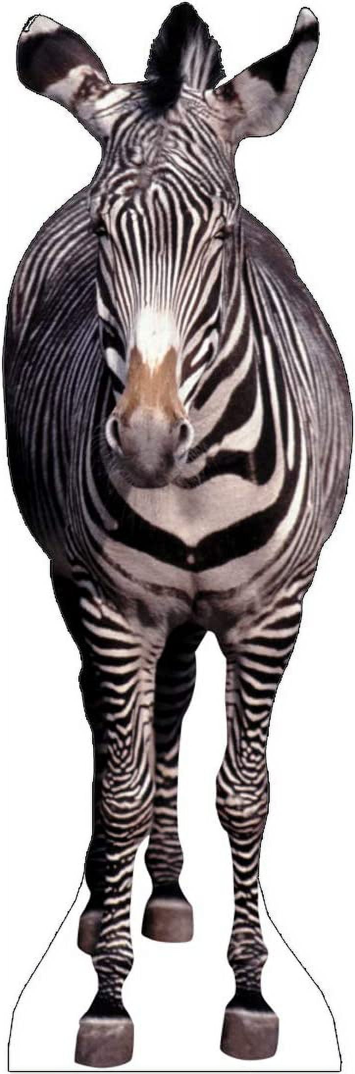 Zebra Life Size Cutout Standup - Walmart.com