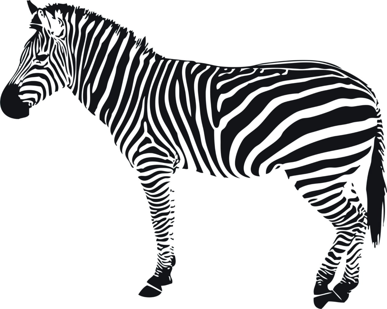 Zebra Living Room Picture Art - Peel & Stick Vinyl Wall Decal Sticker ...
