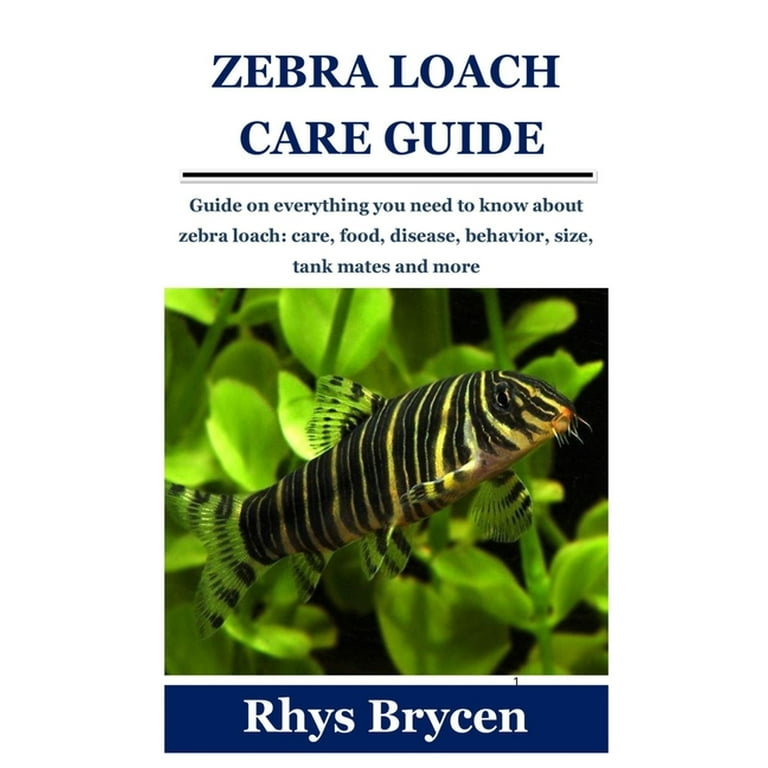 Zebra Freshwater Fish