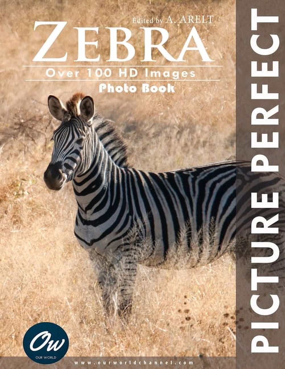 Zebra: Picture Perfect Photo Book (Paperback) - Walmart.com
