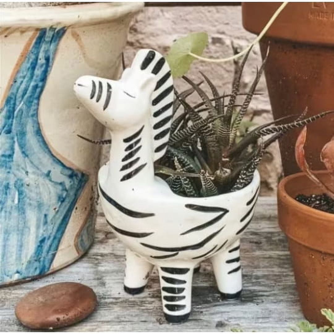 Zebra Planter Pot for Succulents & Plants | Animal Planter | Zebra Pot ...