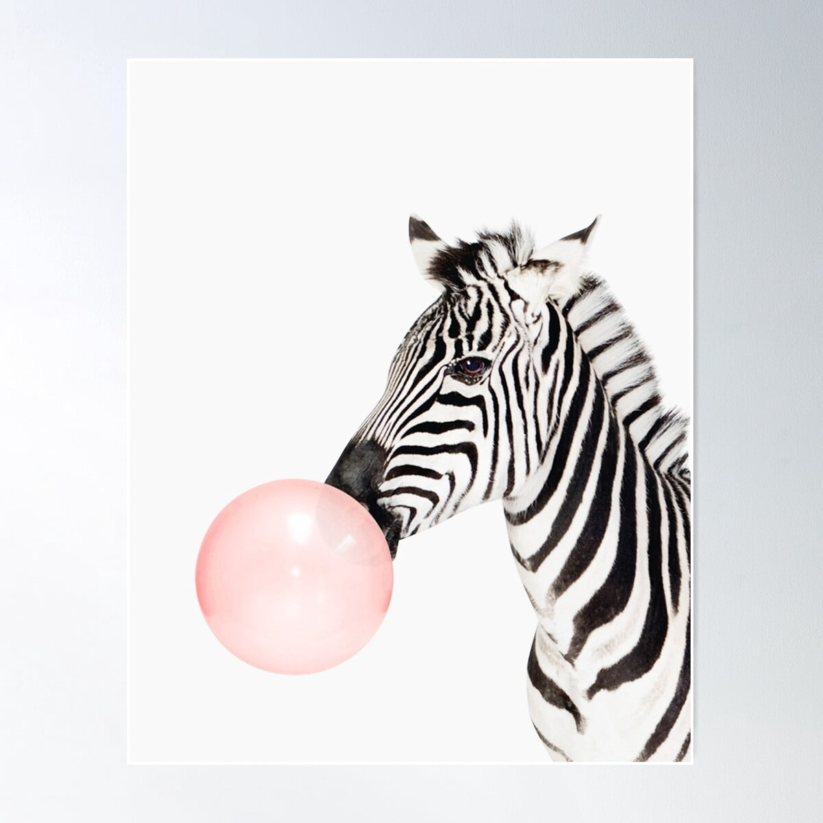 Zebra Print, Bubble Gum, Nursery Art, Zebra Wall Art, Animal, Kids Room ...