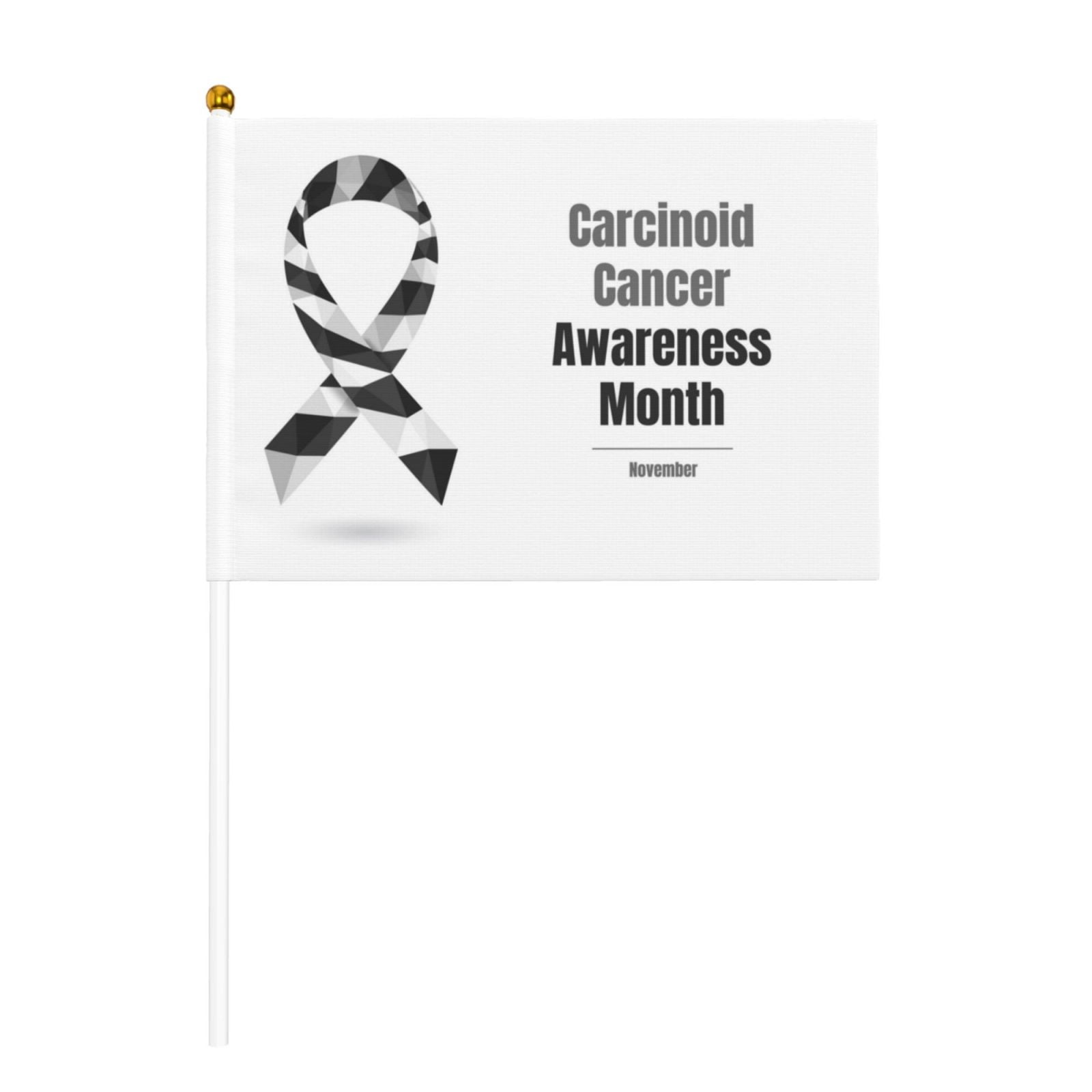 Zebra Ribbon Neuroendocrine Cancer Awareness Month Flag Small Mini Hand ...