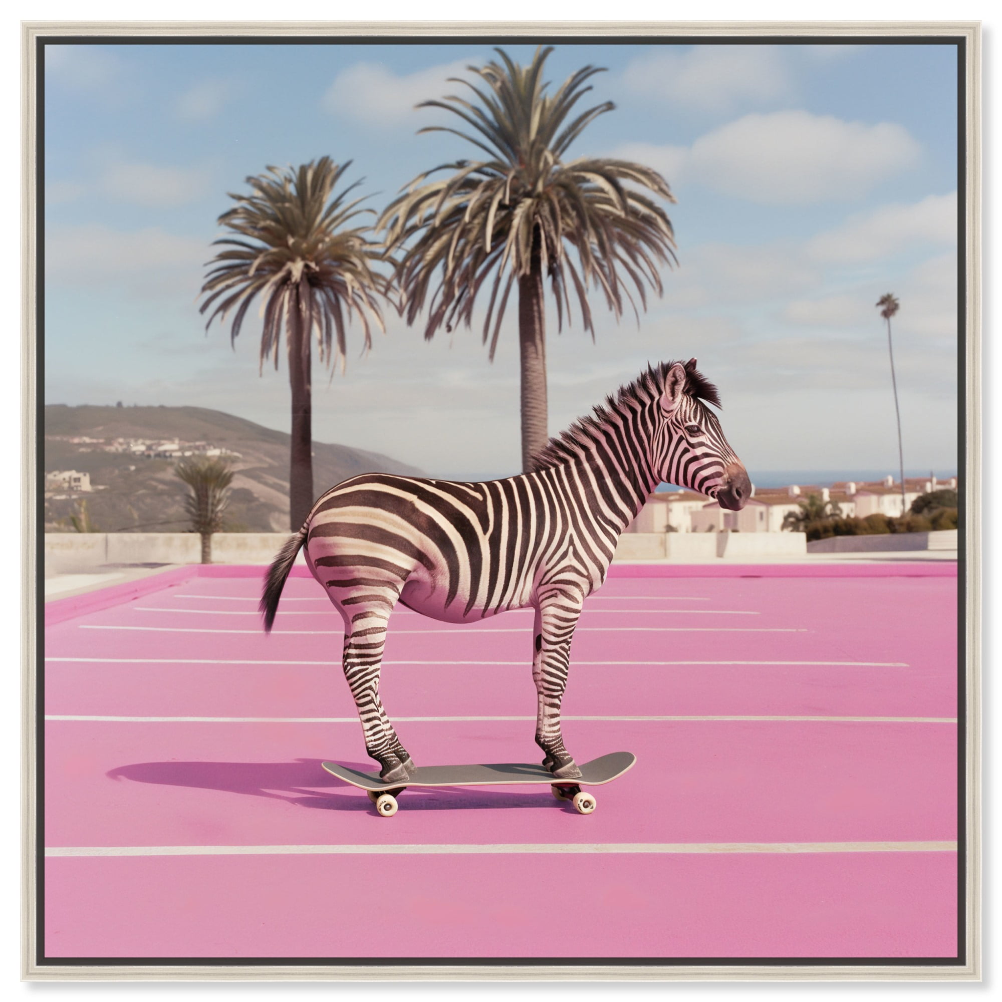 Zebra Skate Canvas Pop Art Prints by Art Remedy, Silver Frame, 16" x 16 ...