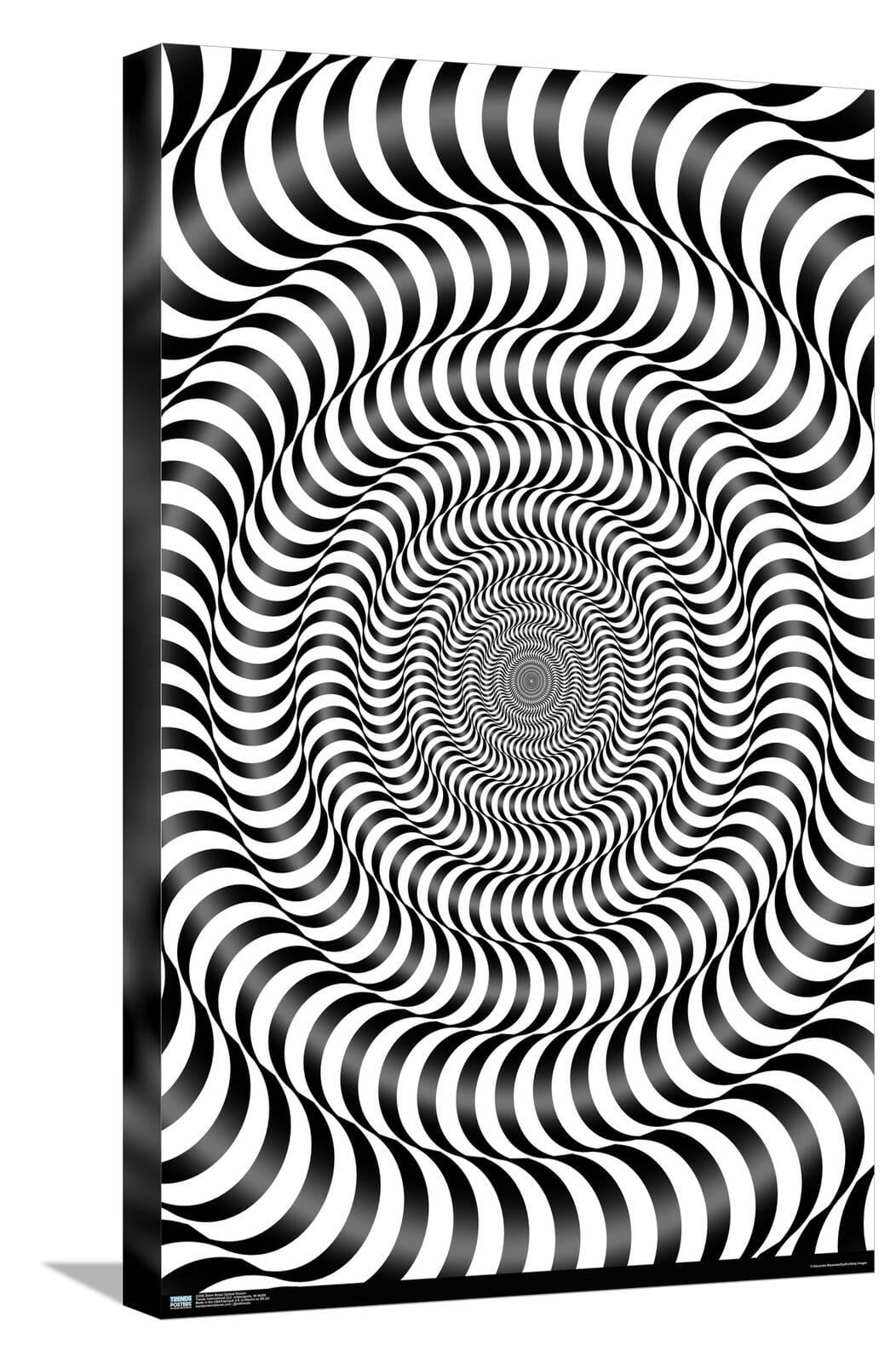 Zebra Stripe Optical Illusion Canvas Wall Poster, 14.725" x 22.375 ...