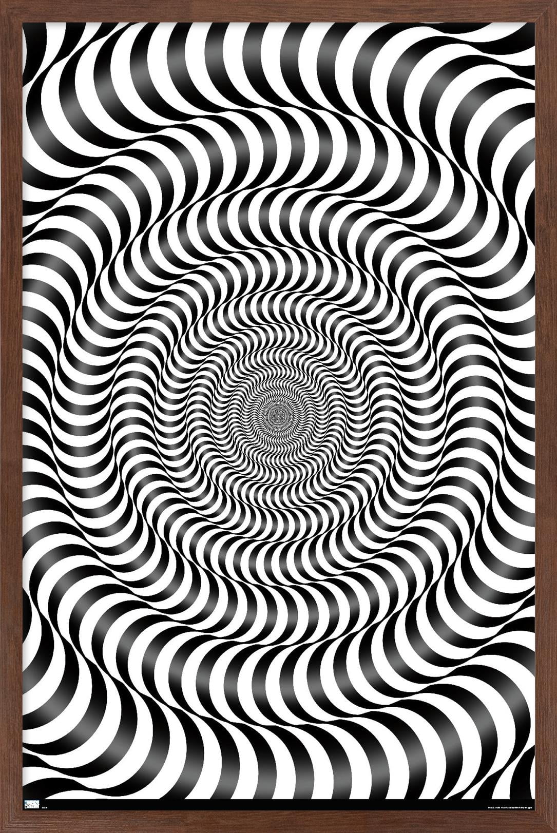 Zebra Stripe Optical Illusion Wall Poster, 14.725" x 22.375" Framed ...