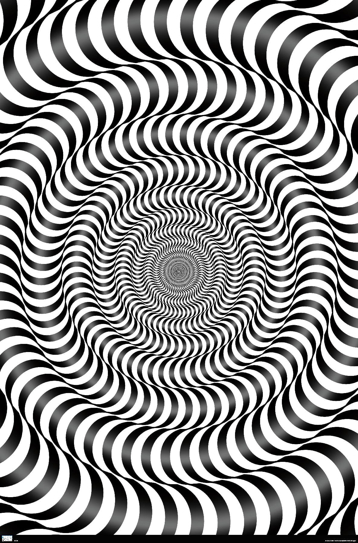 Zebra Stripe Optical Illusion Wall Poster, 22.375" x 34" - Walmart.com