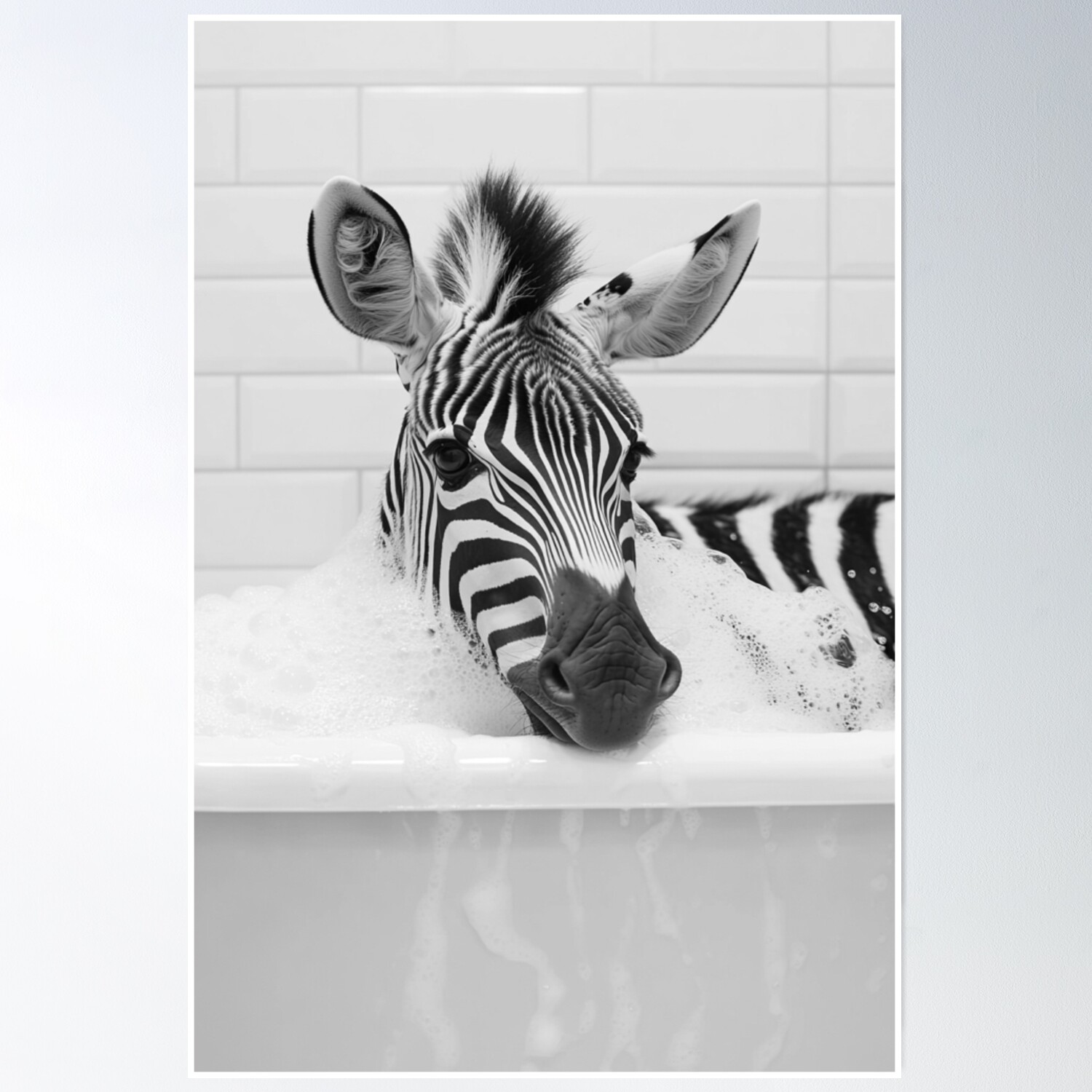 Zebra Taking A Bath, Funny Vintage Animal Photo Poster Wall Art, Modern ...