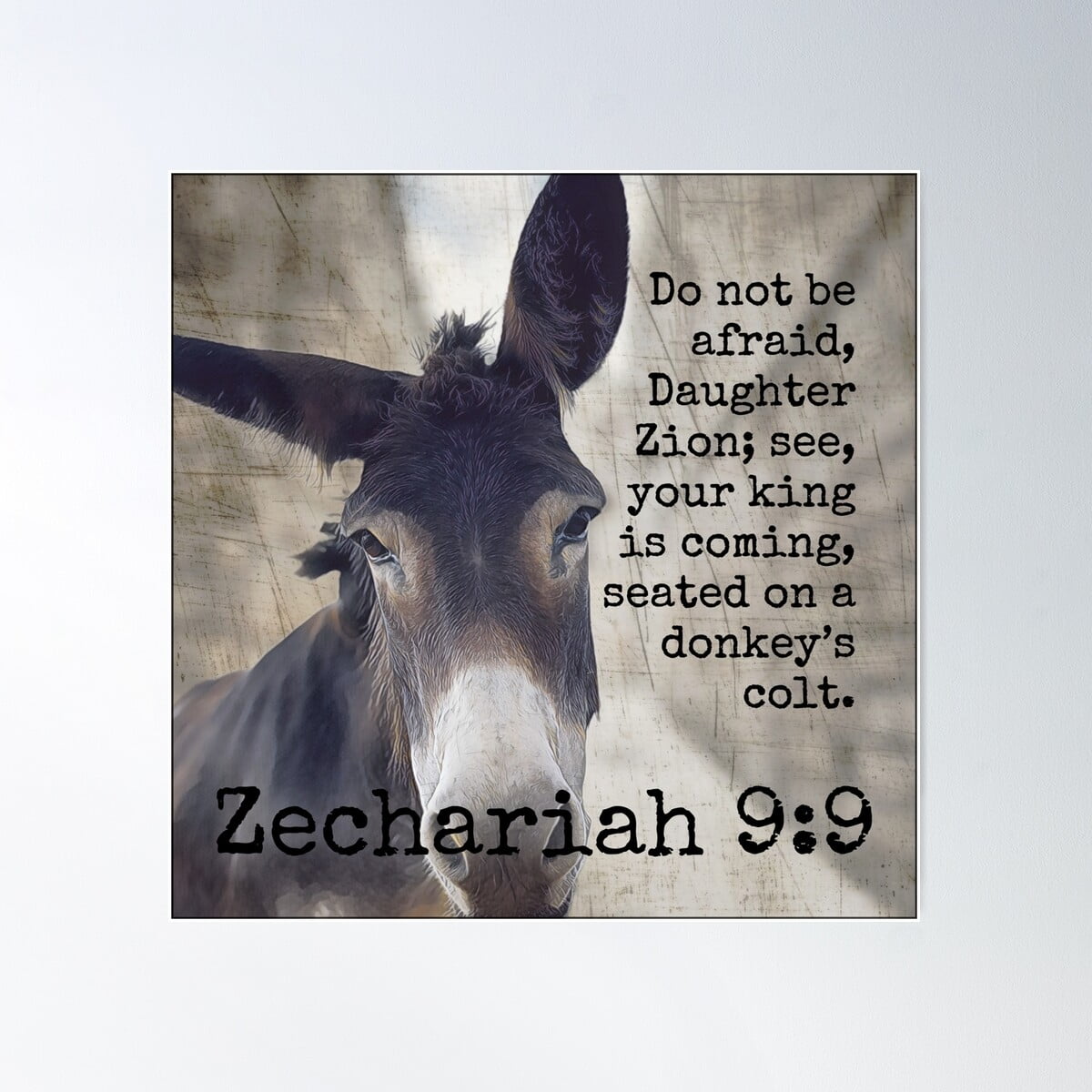Zechariah 9:9 (From John 12:15) Poster Wall Art, Modern Wall Decor For ...