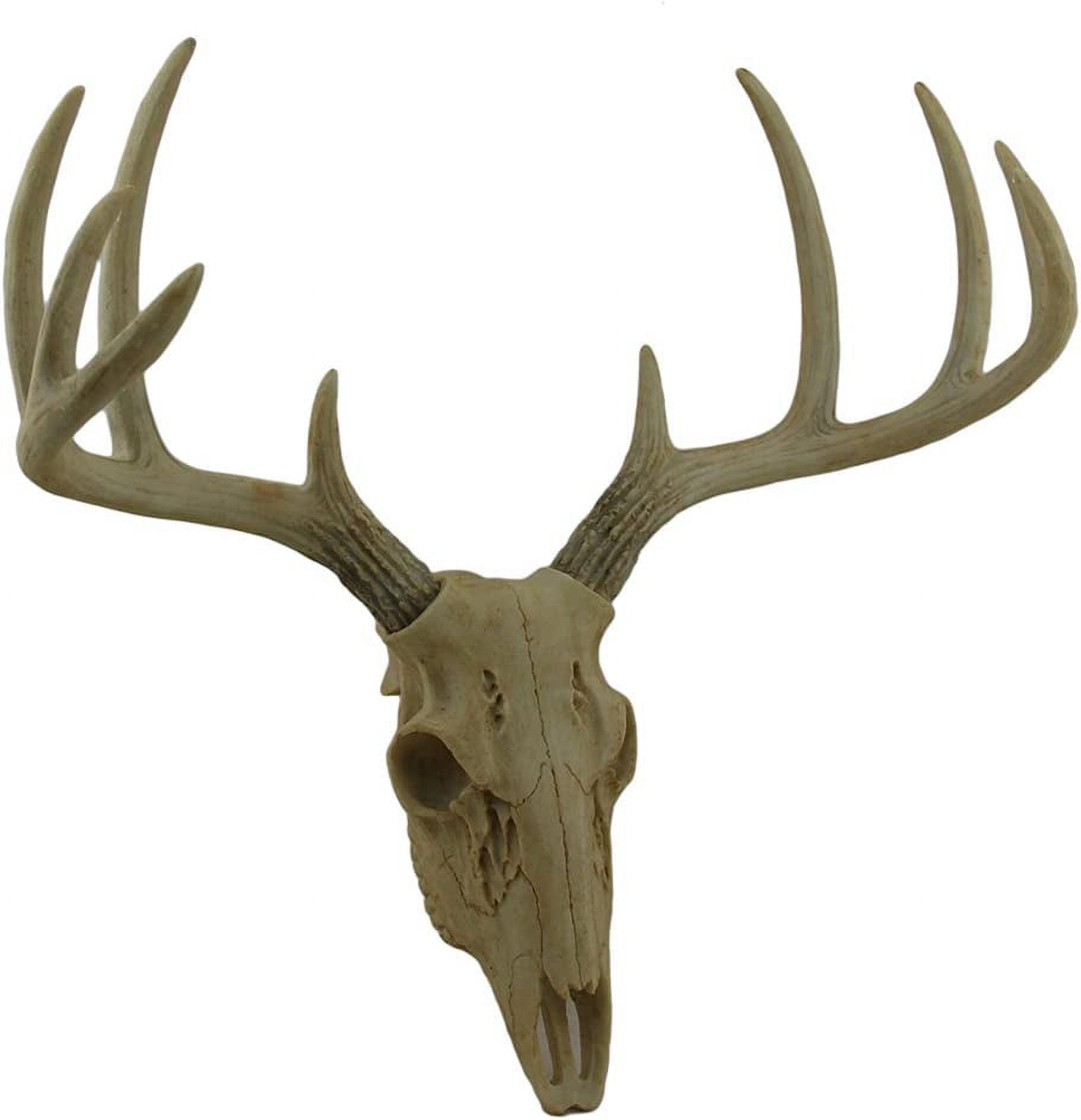 Zeckos Little Bucky - 15-Inch Wall Mounted Faux Deer Skull with 10 ...
