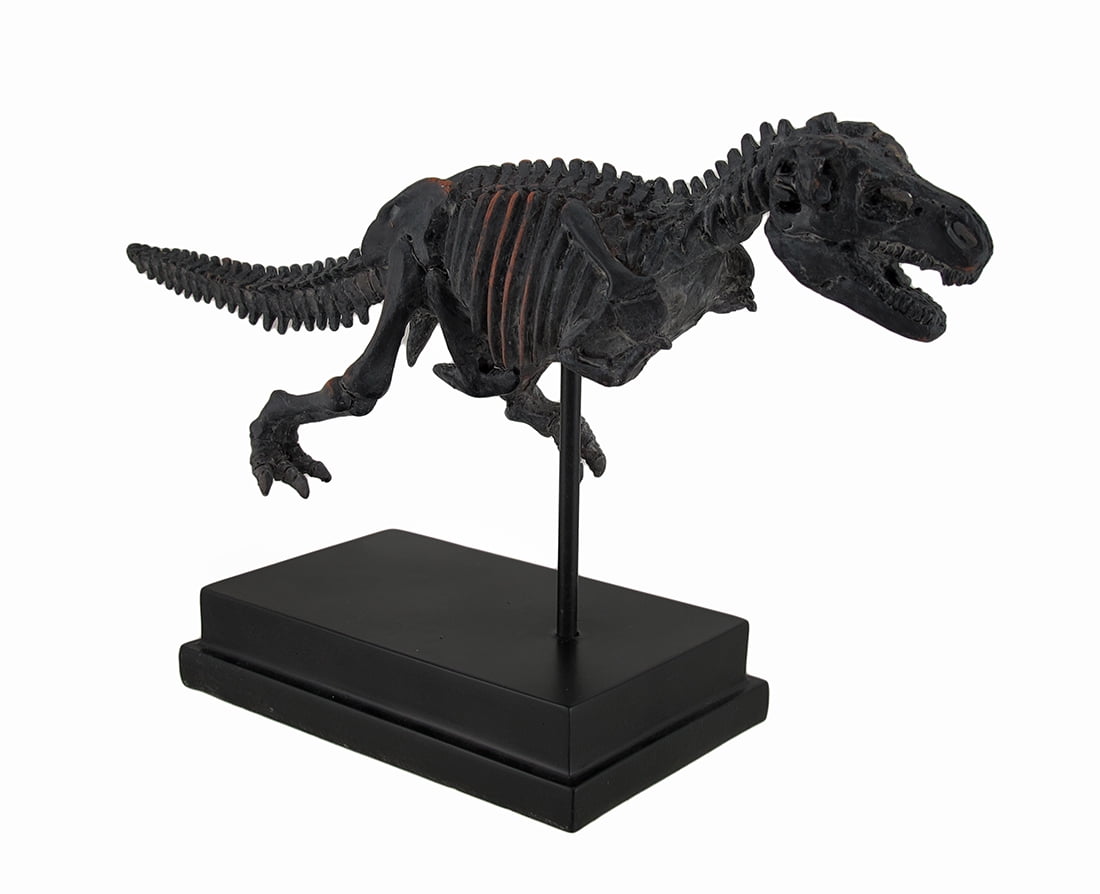 Zeckos Tyrannosaurus Rex Skeleton Statue T-Rex on Museum Mount ...