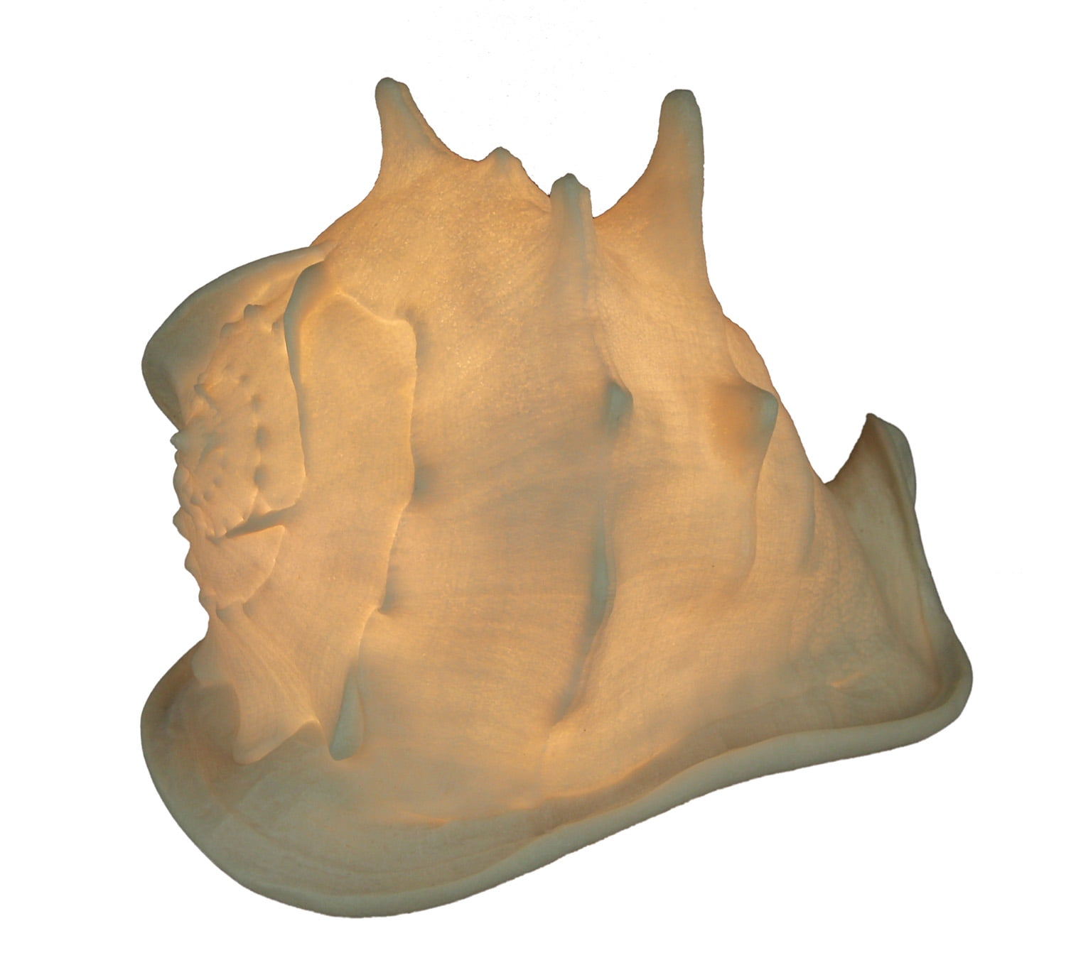 Zeckos White Faux Helmet Shell Decorative Coastal Art Accent Lamp ...