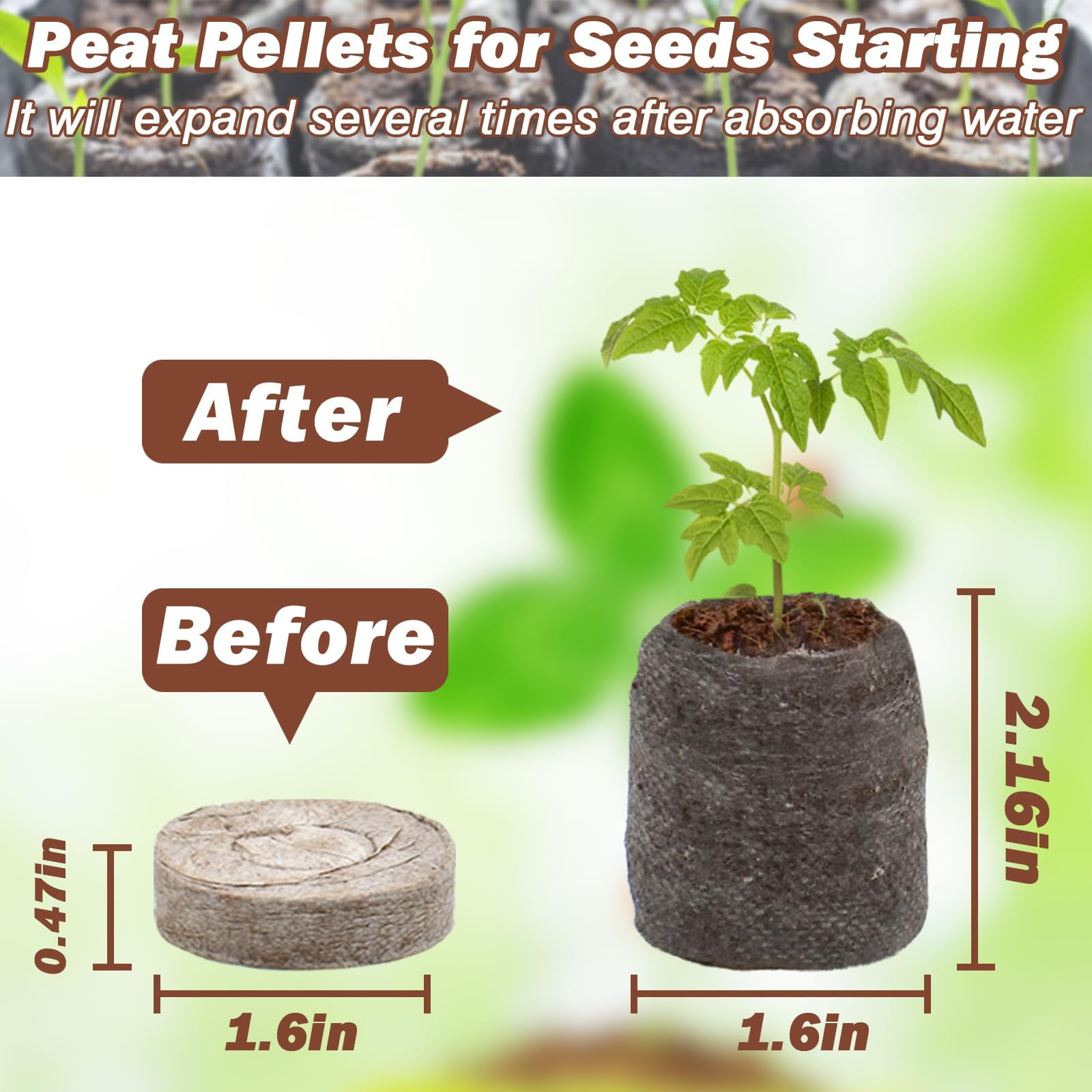 ZeeDix 100Pcs 40mm FEV6 Peat Pellets for Seedlings, Seed Starter Pods ...