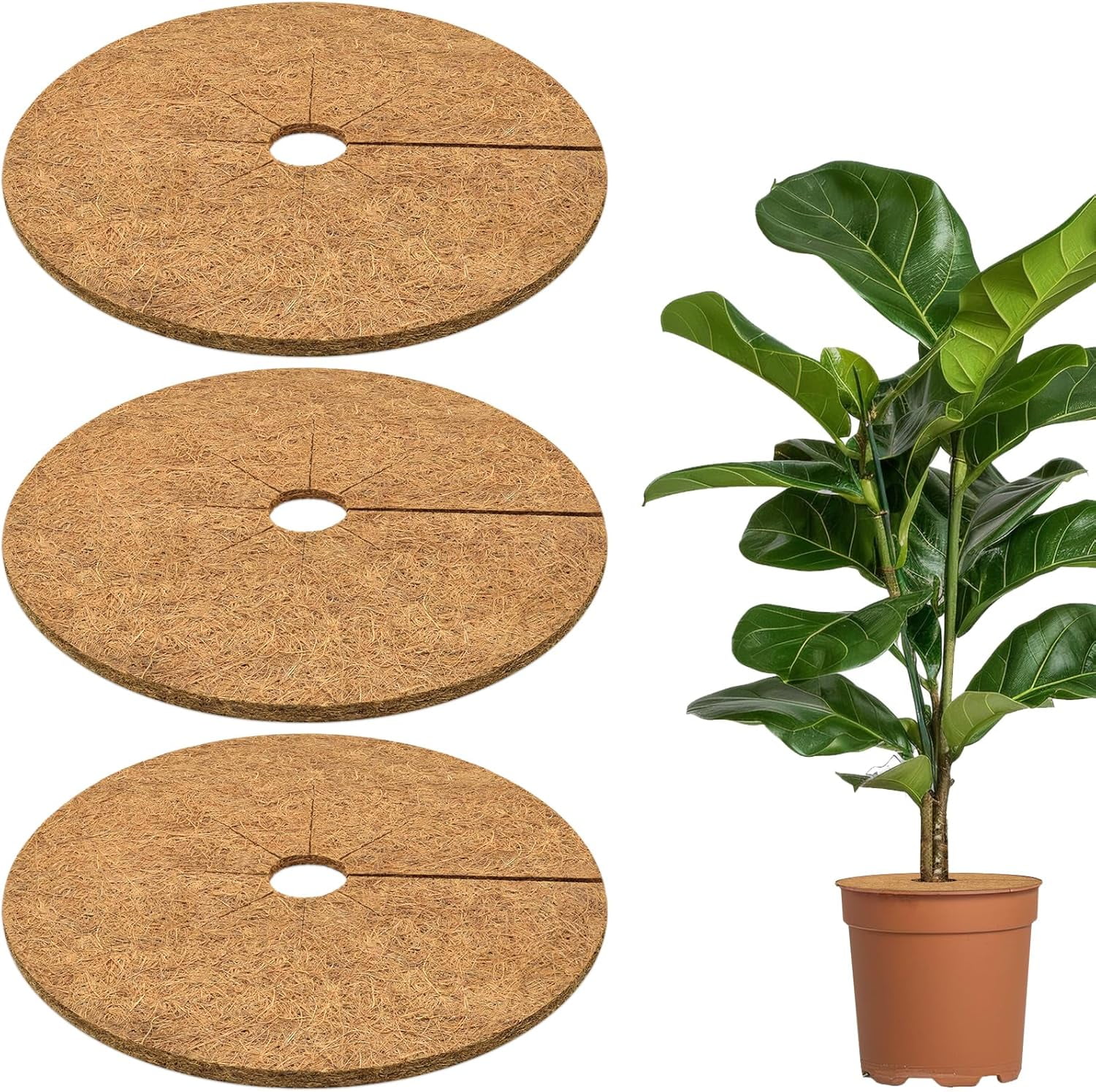 ZeeDix 3 Pcs Coconut Fibers Mulch Ring Tree Protector Mat, 14 Inch Coco ...