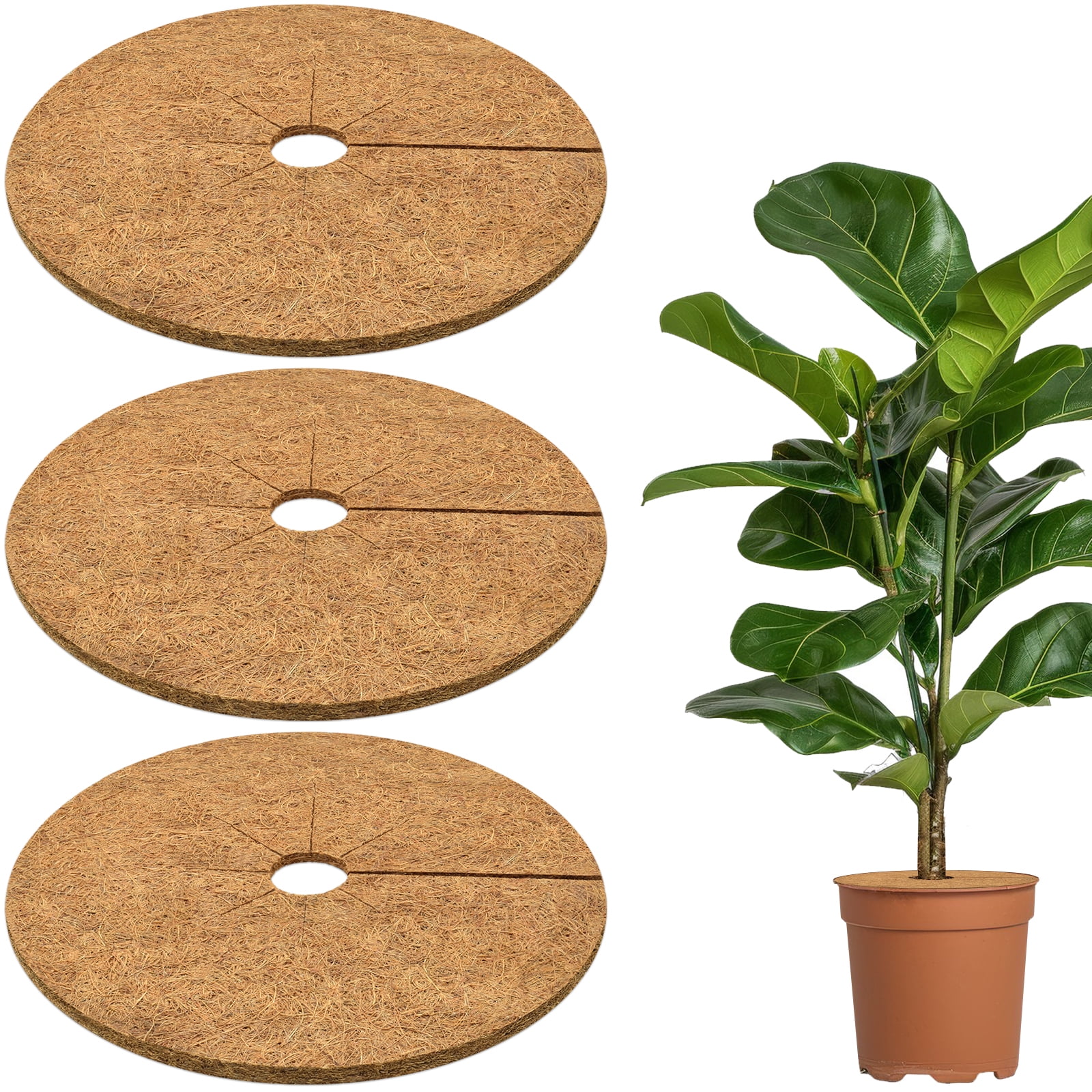 ZeeDix 3 Pcs Coconut Fibers Mulch Ring Tree Protector Mat, 14 Inch Coco ...