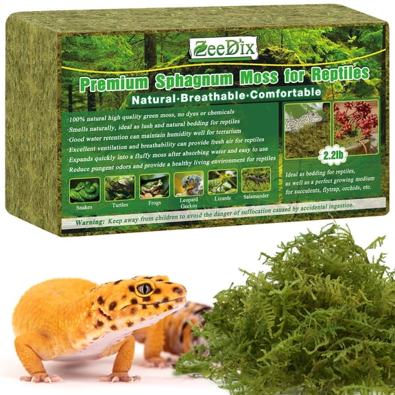 Live Moss Variety Pack for Reptiles– 3-Pack Mixed Real Terrarium Mosses ...